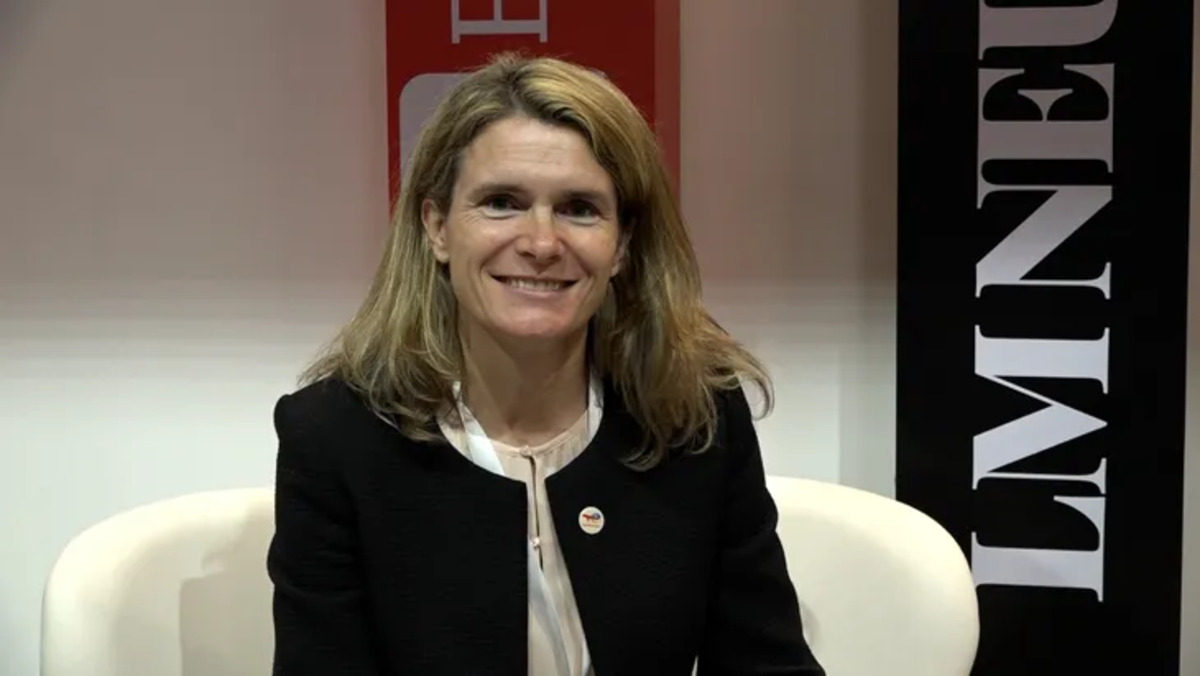 AOG 2024: TotalEnergies presentó sus avances en el mar de Tierra del ...